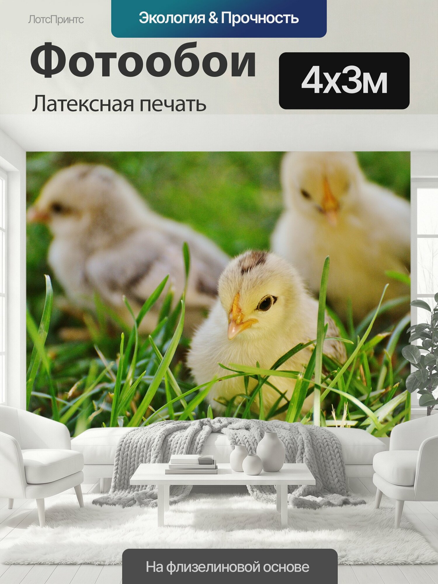 Фотообои моющиеся ударопрочные "Цыпленок, курица, небольшой" 400x300 см. латексная печать