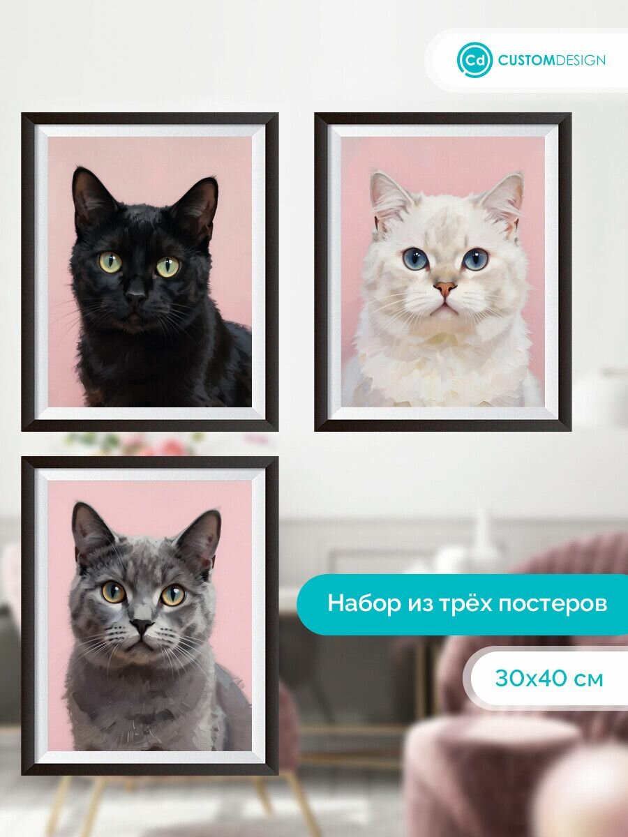 Постеры на стену для интерьера Кот 30х40 см 3 штуки