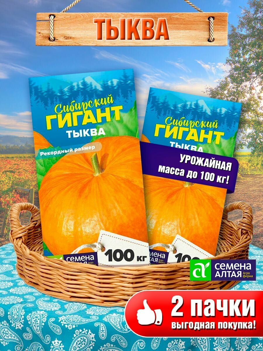 Семена тыквы "Сибирский гигант" от компании Семена Алтая (2 пачки)