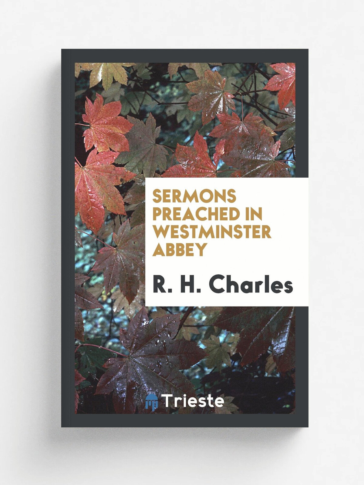 Sermons preached in Westminster Abbey