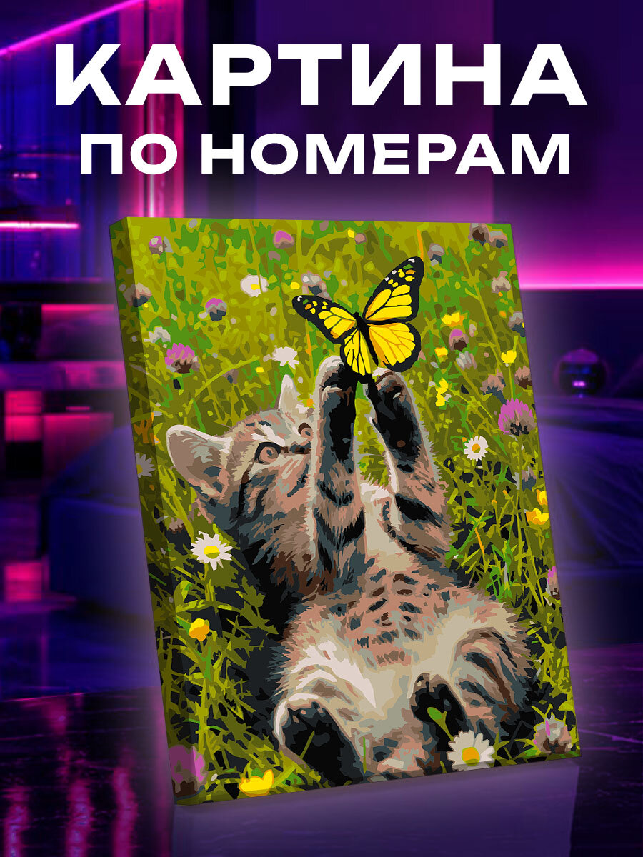 Картина по номерам Котёнок и сияющая бабочка