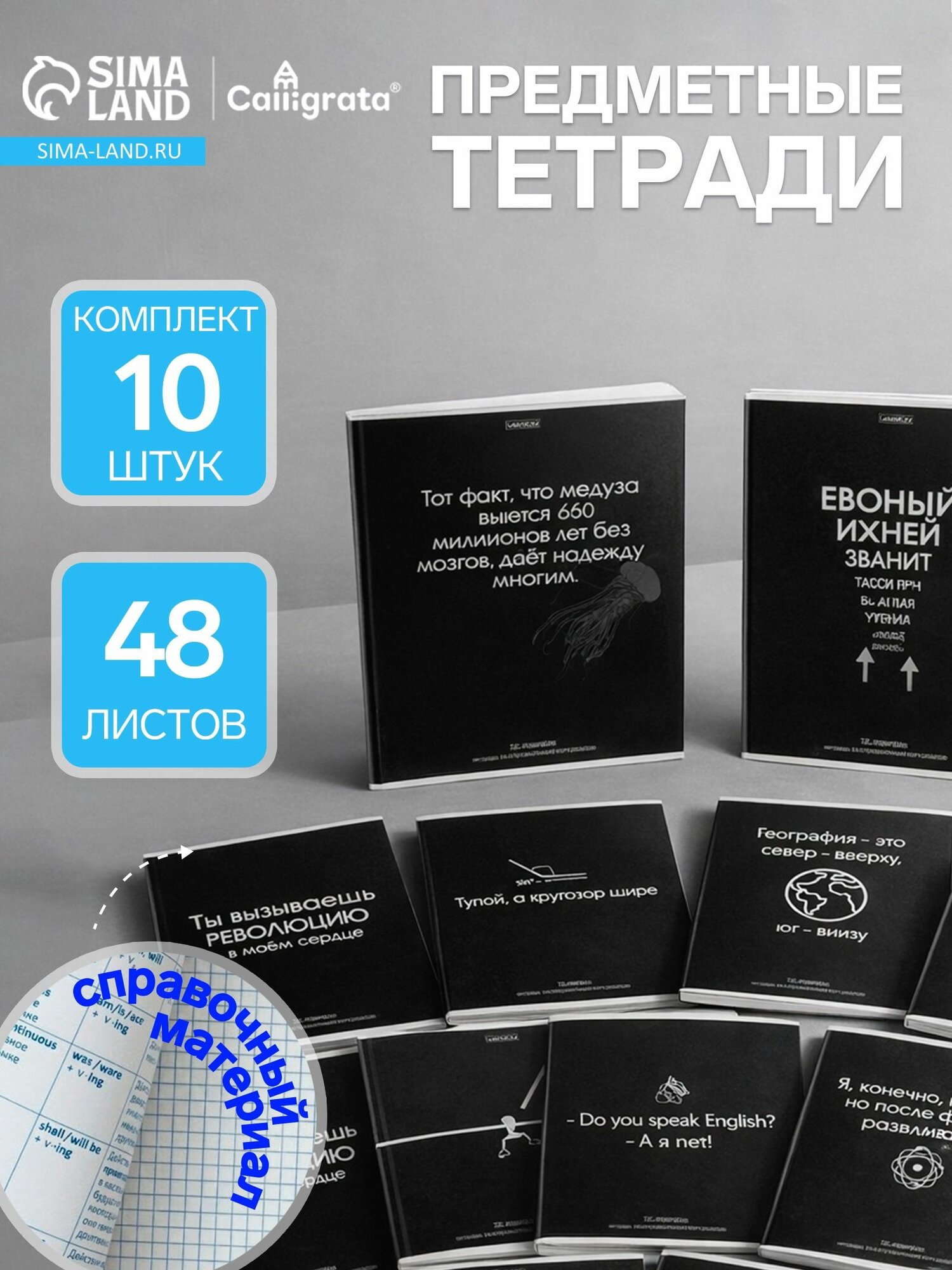 Комплект предметных тетрадей 48 листов "На Чёрном", 10 предметов, со справочным материалом