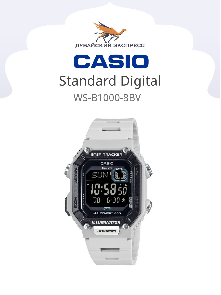  CASIO