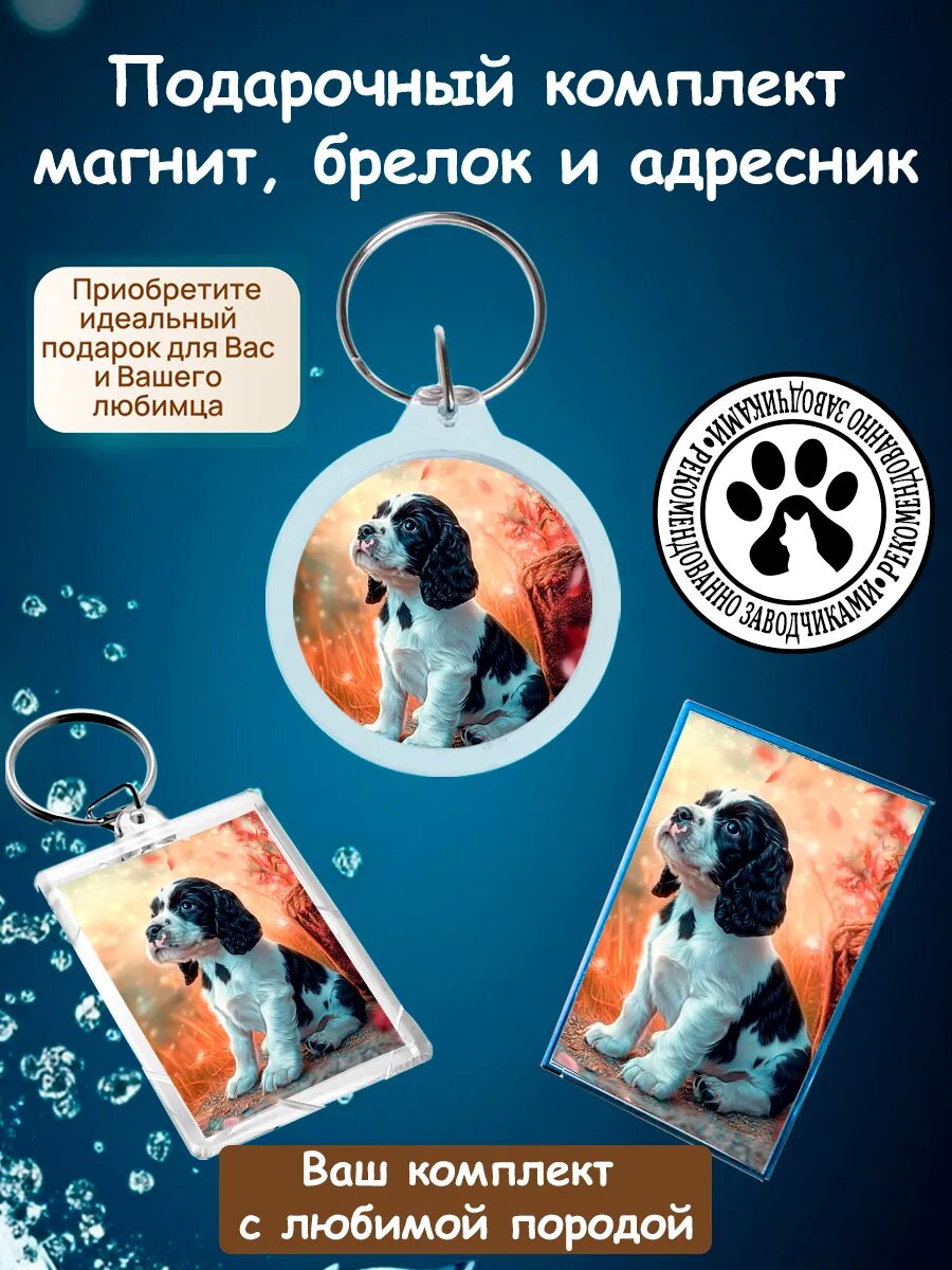 Подарочный комплект магнит брелок адресник