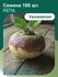Репа Семена