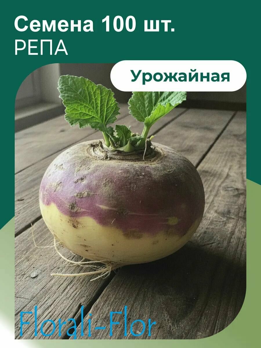 Репа Семена