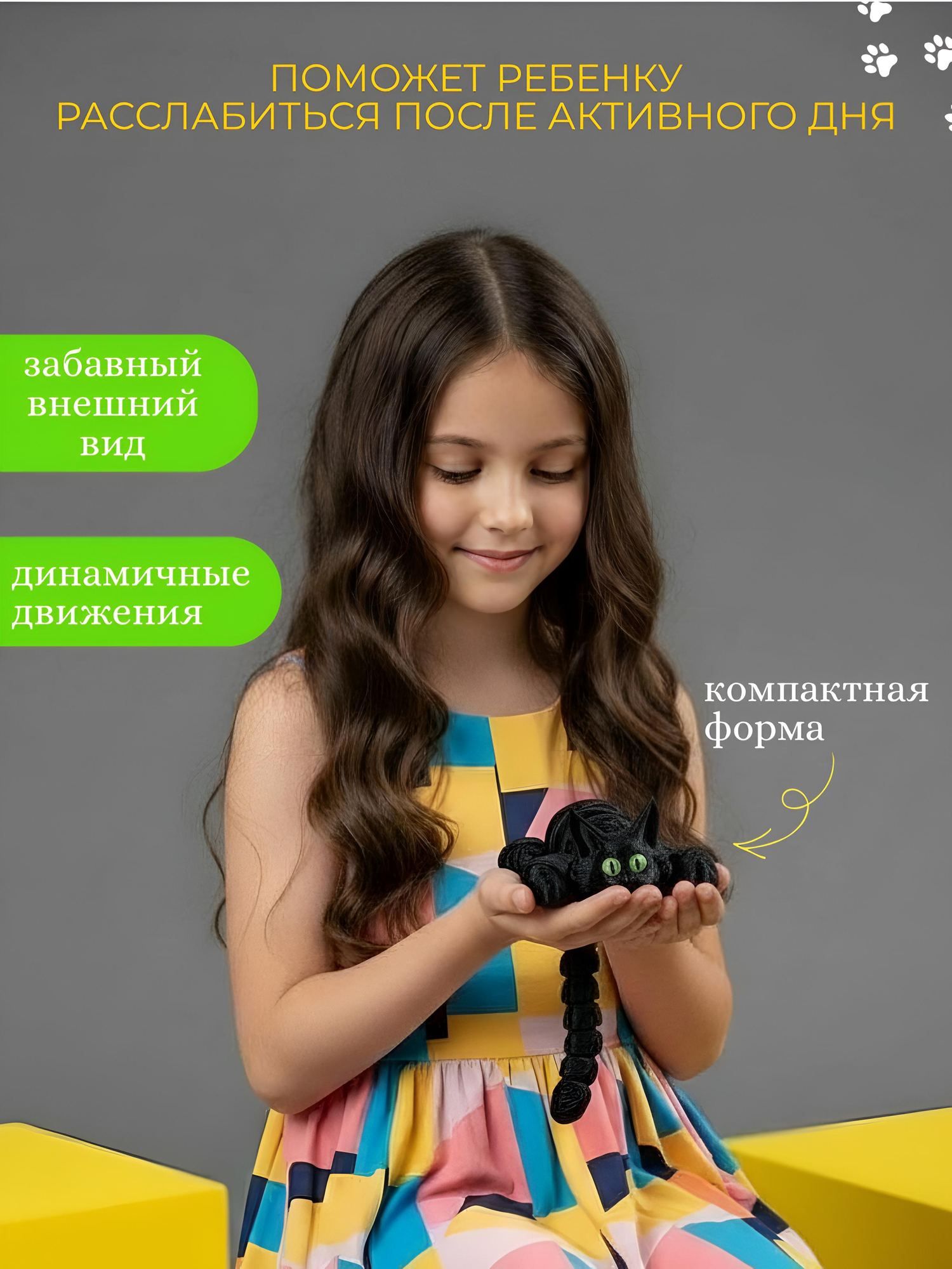 Кот Мейн Кун черный
