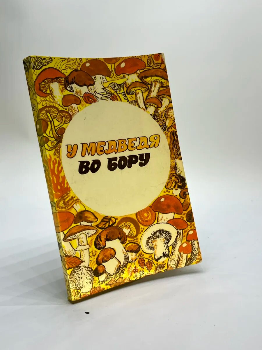 Книга У Медведя во Бору 1992 год Пермь