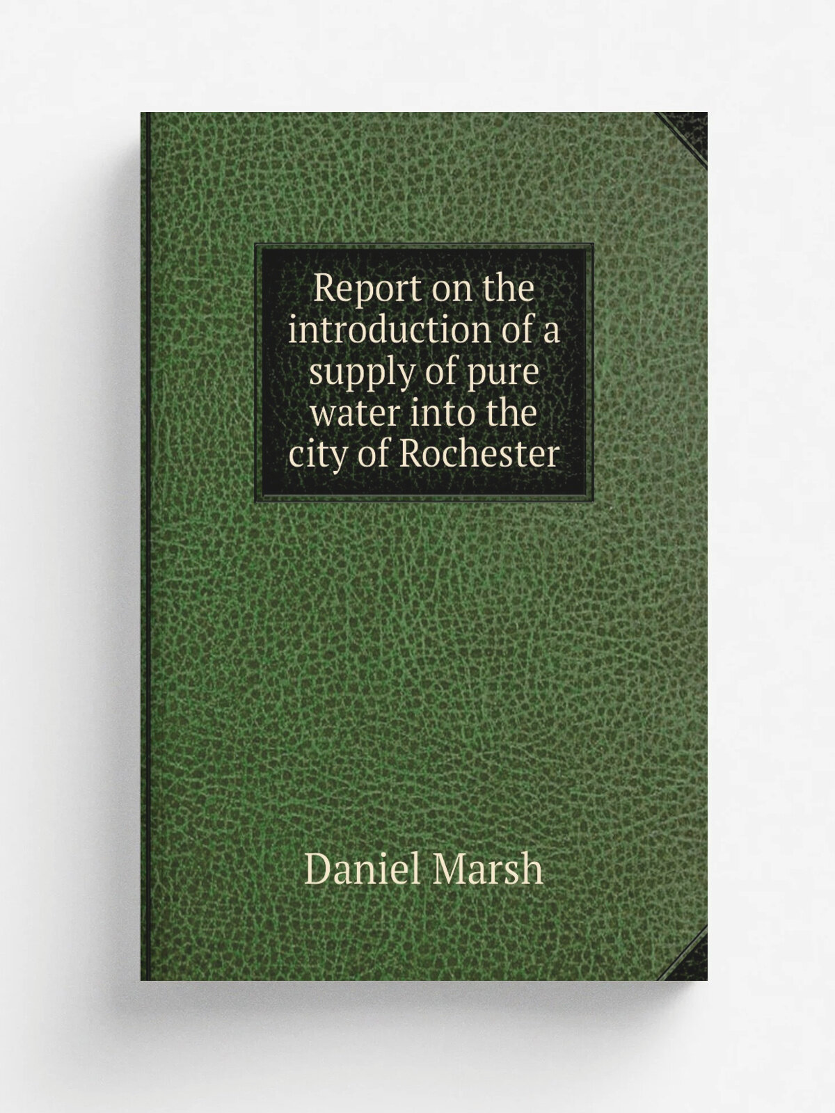 Report on the introduction of a supply of pure water into the city of Rochester
