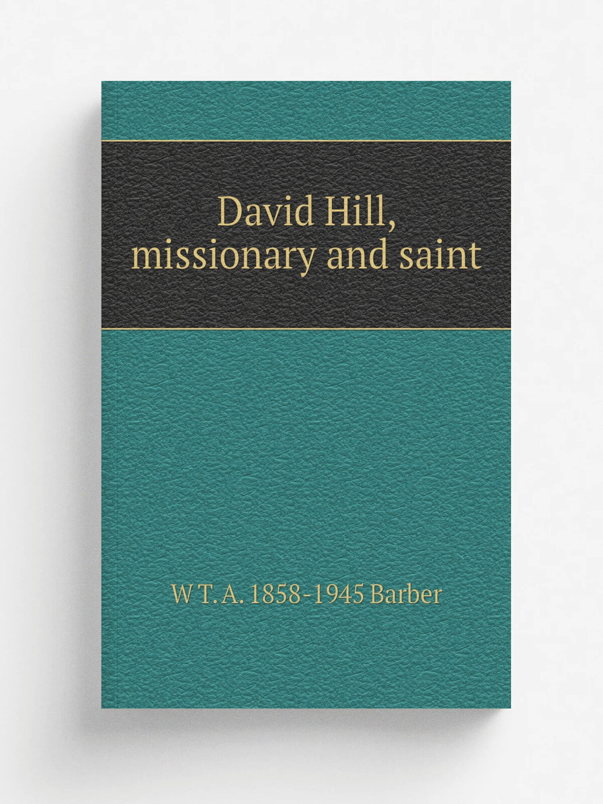 David Hill, missionary and saint