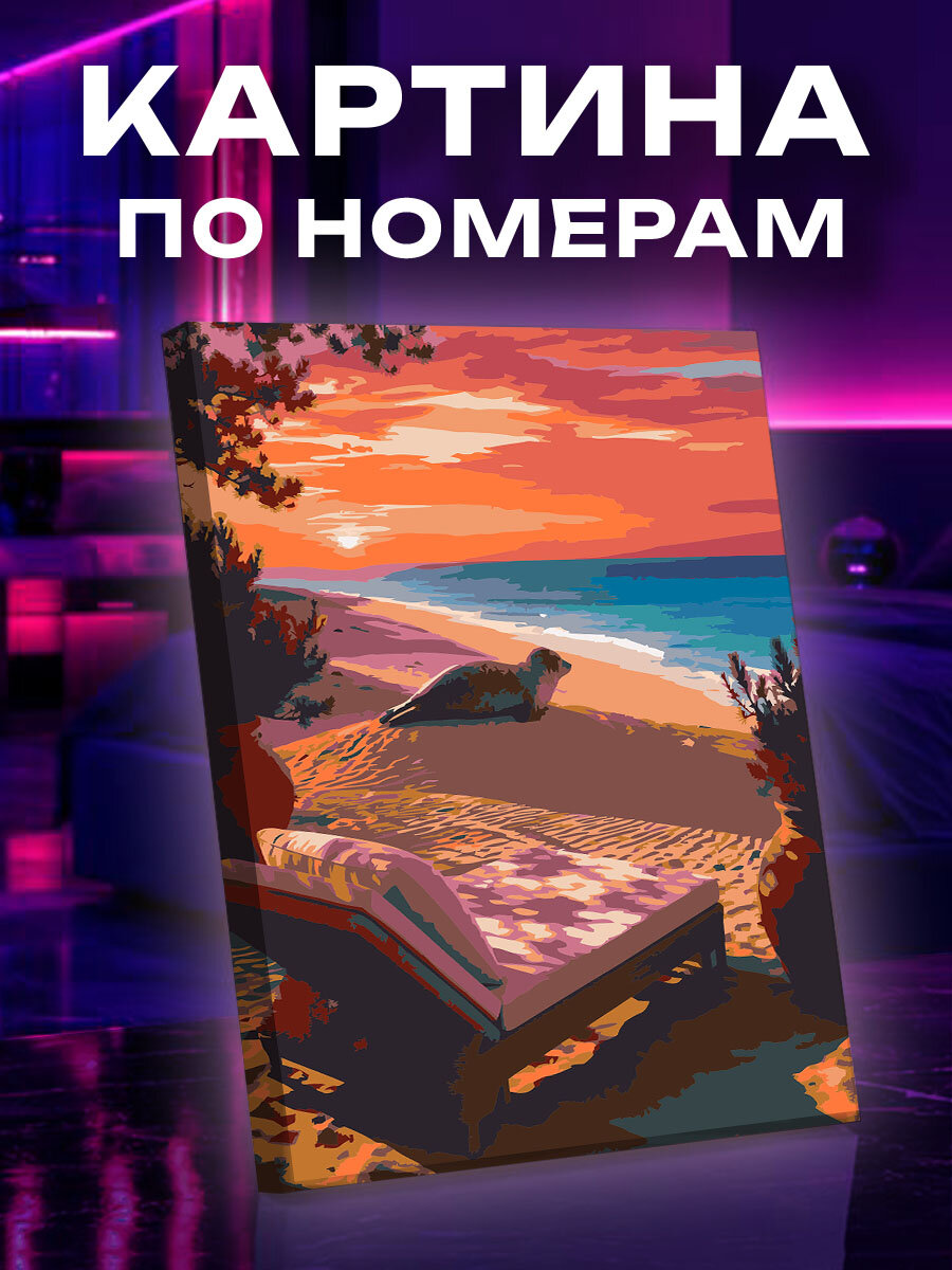 Картина по номерам Тюлень у бирюзового океана