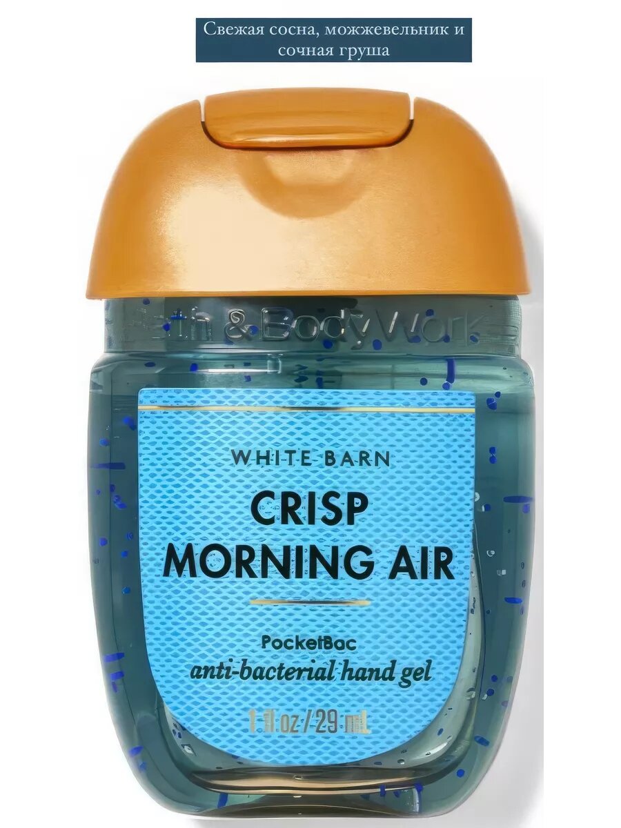 Антисептик санитайзер Bath&Body Works Crisp Morning Air