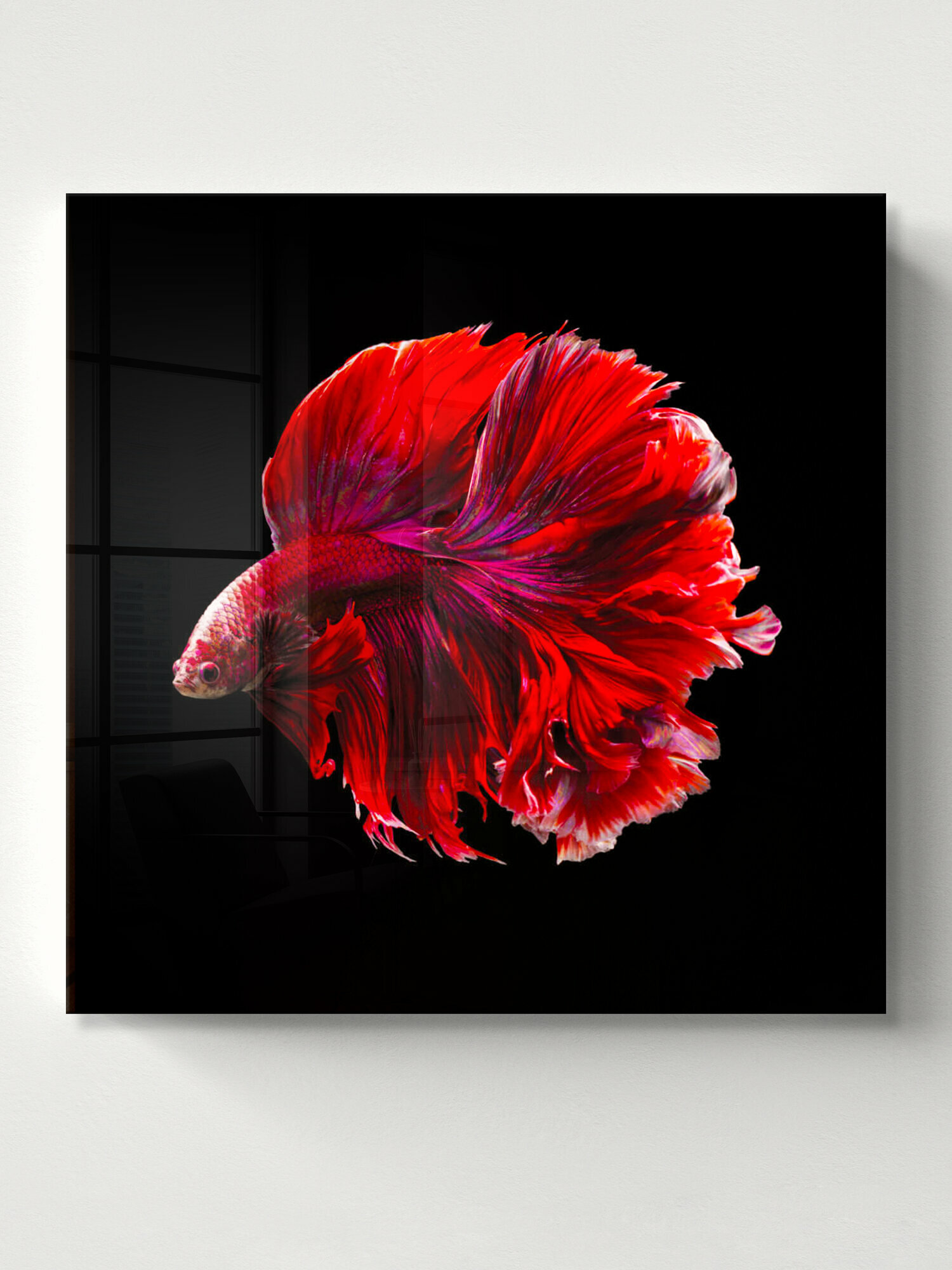 Картина Postermarket "Бойцовая рыбка" на стекле, 40 x 40 см.