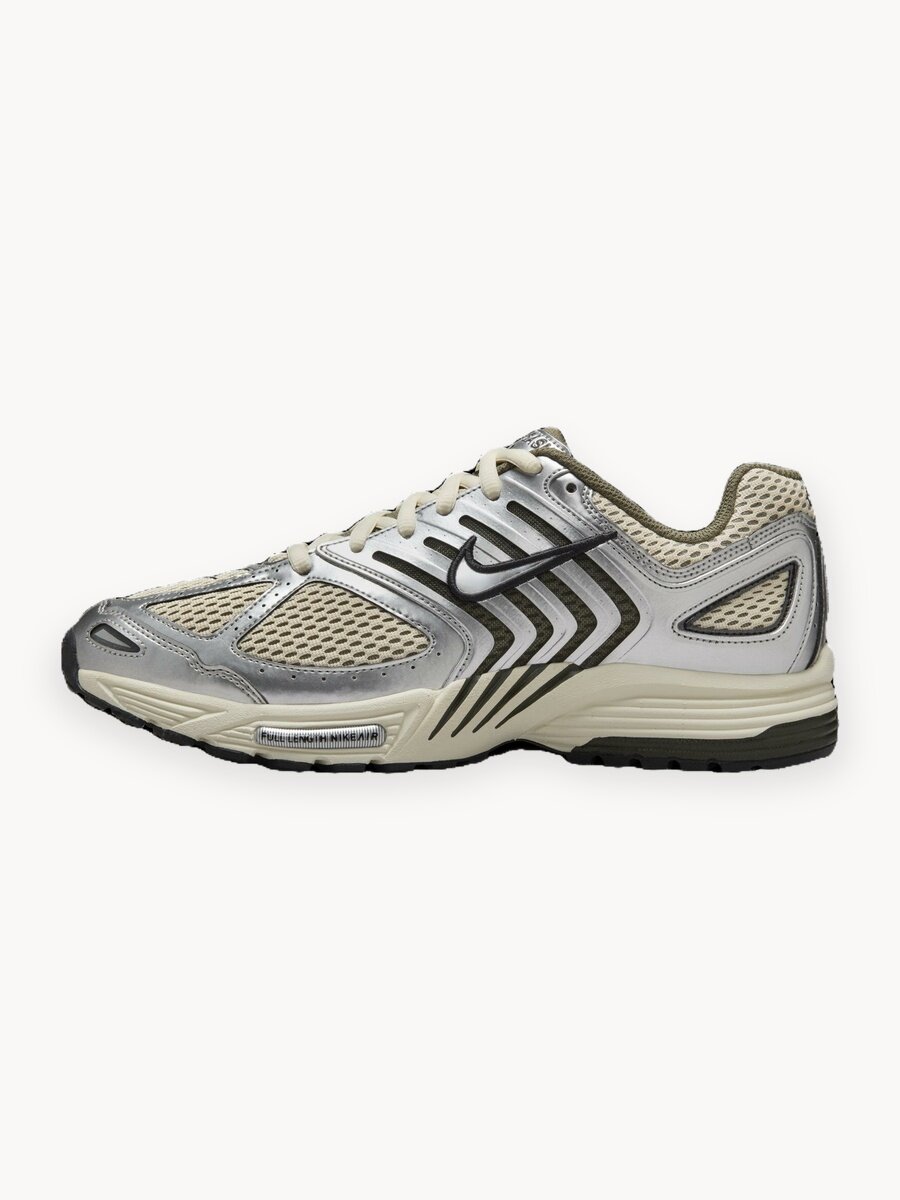 Кроссовки Air Pegasus 2005