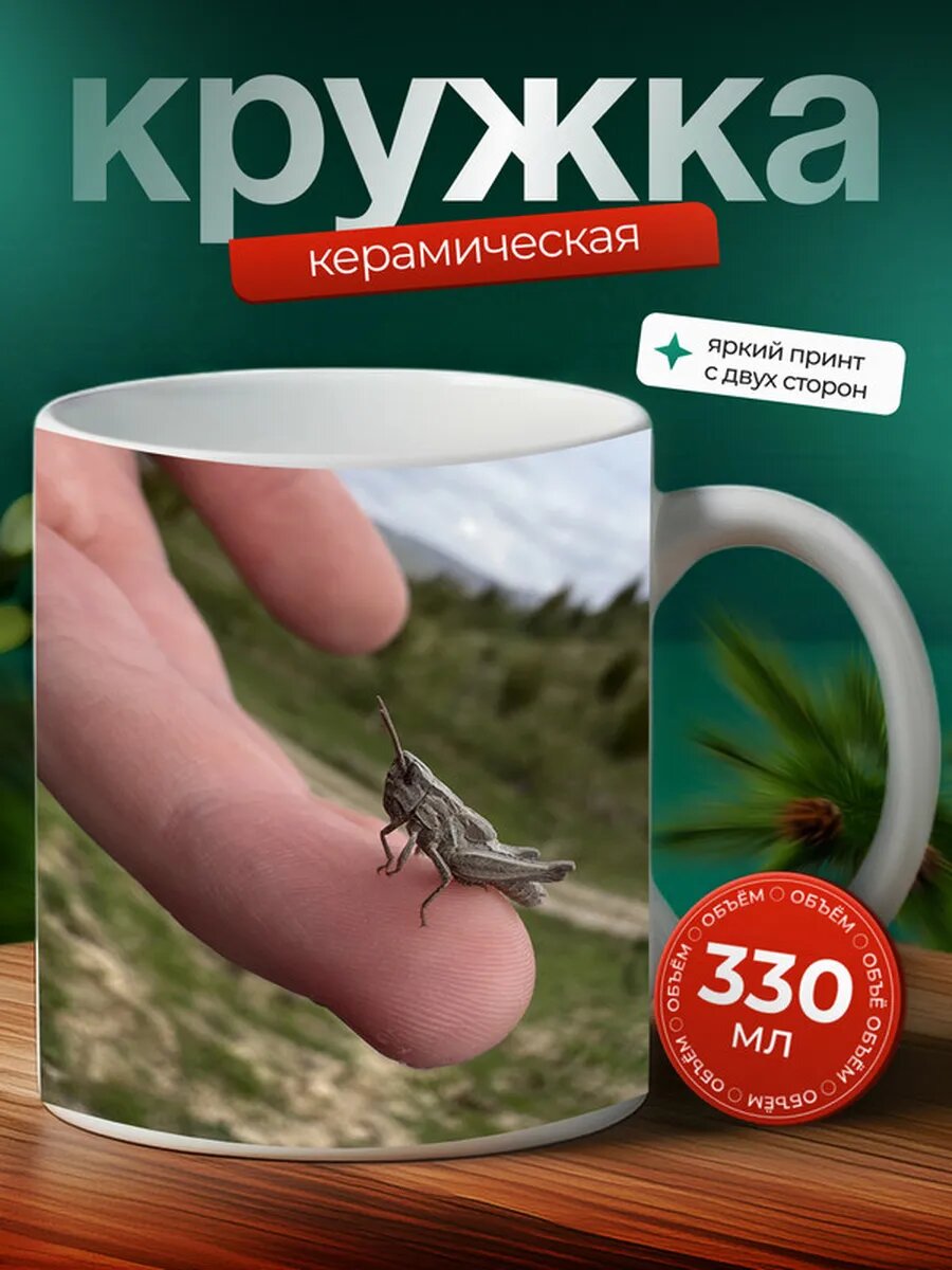 Кружка Кузнечик насекомое 7,