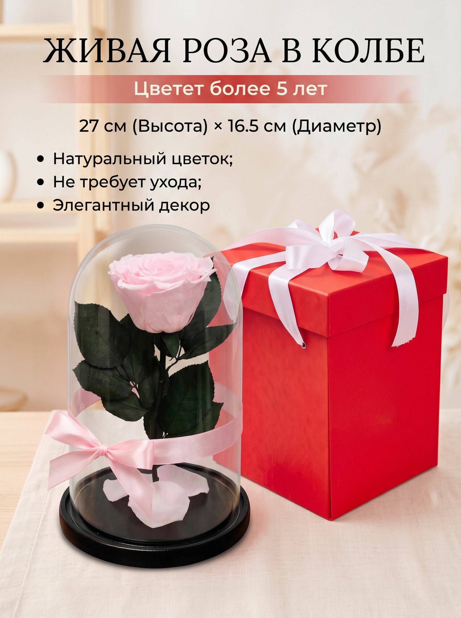 Стабилизированные цветы в стекле, Роза в колбе живая Премиум розовая 27x16,5 см в подарочной красной коробке 30х18х18см, GIFT4YOU