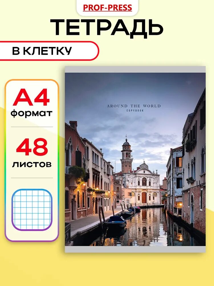 Тетрадь 48 листов в клетку Prof-Press