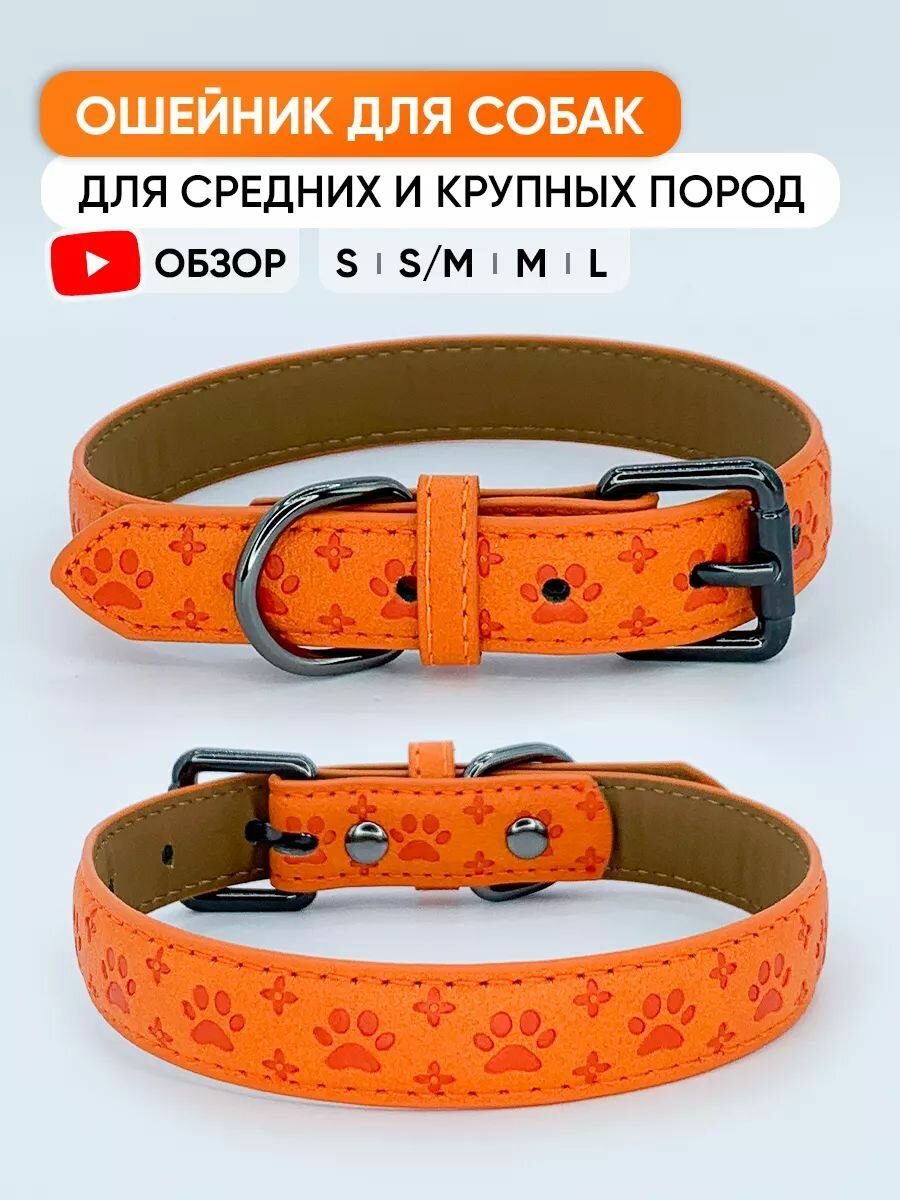 Оранжевый кожаный ошейник для собак и щенков всех пород, S / 27см - 33см для всех пород для щенков