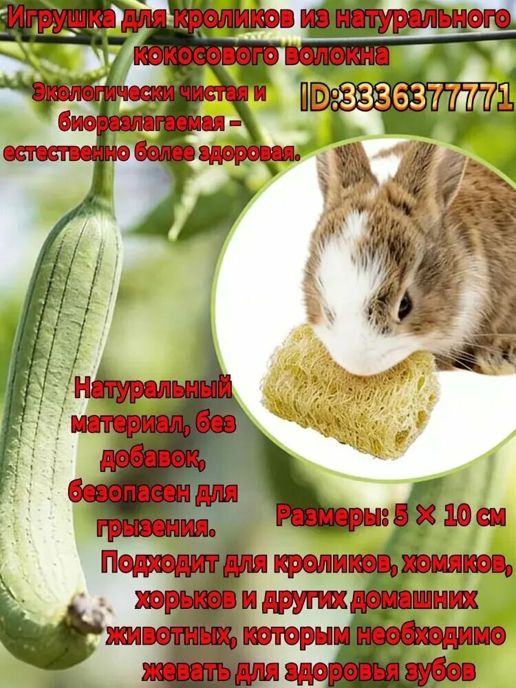 Игрушка для жевания для домашних животных: изготовлена из натурального кокосового волокна, подходит для кроликов, хомяков, морских свинок, морских свинок и песчанок. Способствует здоровью зубов.