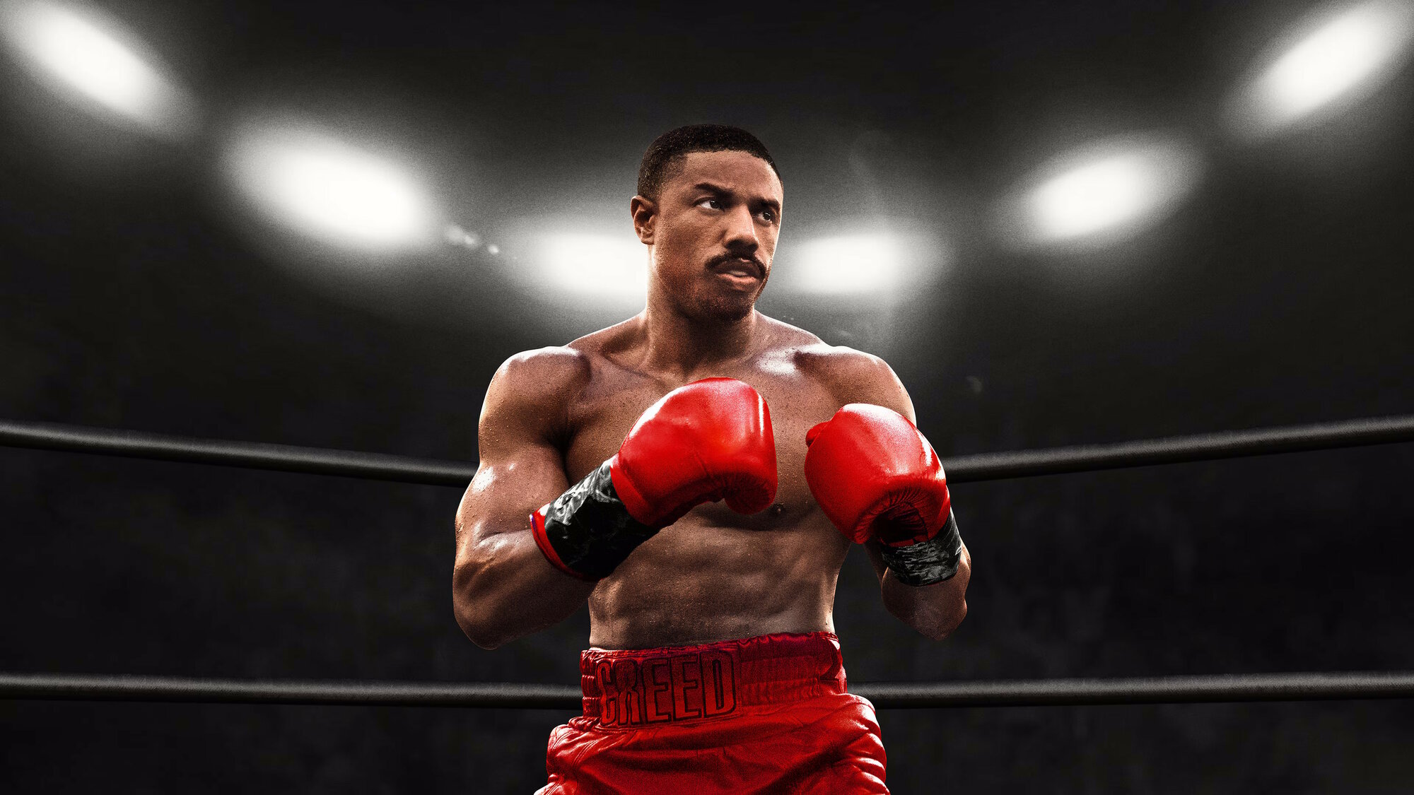 Игра Creed: Rise to Glory — Championship Edition™ VR для PS5, английский язык | PlayStation 5