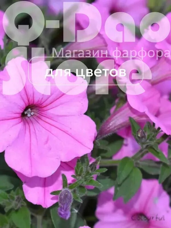 Грядка текстильная 0.9х0.9 м для выращивания цветов, овощей и ягод. Черная. — фото 1