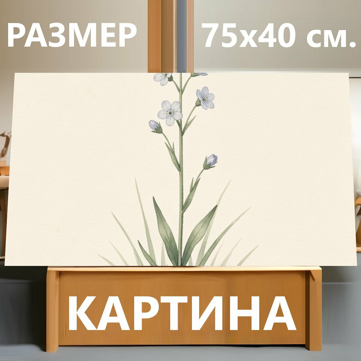 Картина на холсте "Нежный луговой цветок. Изящное ботаническое изображение с тонким стеблем, мелкими сиренево-голубыми соцветиями и зелёными." на подрамнике 75х40 см. для интерьера