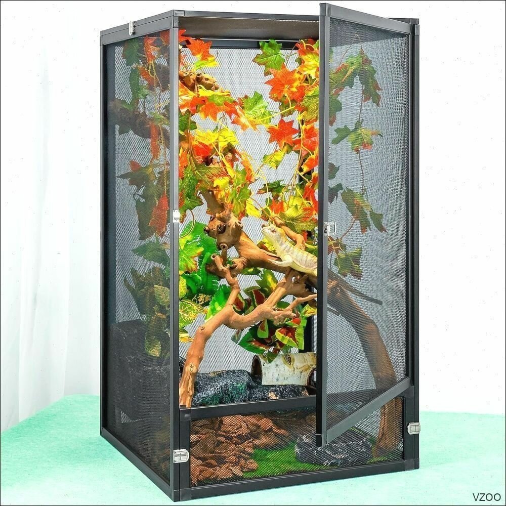 Террариум для рептилий: бананоеды, леопардовые гекконы, хамелеоны, бородатые агамы