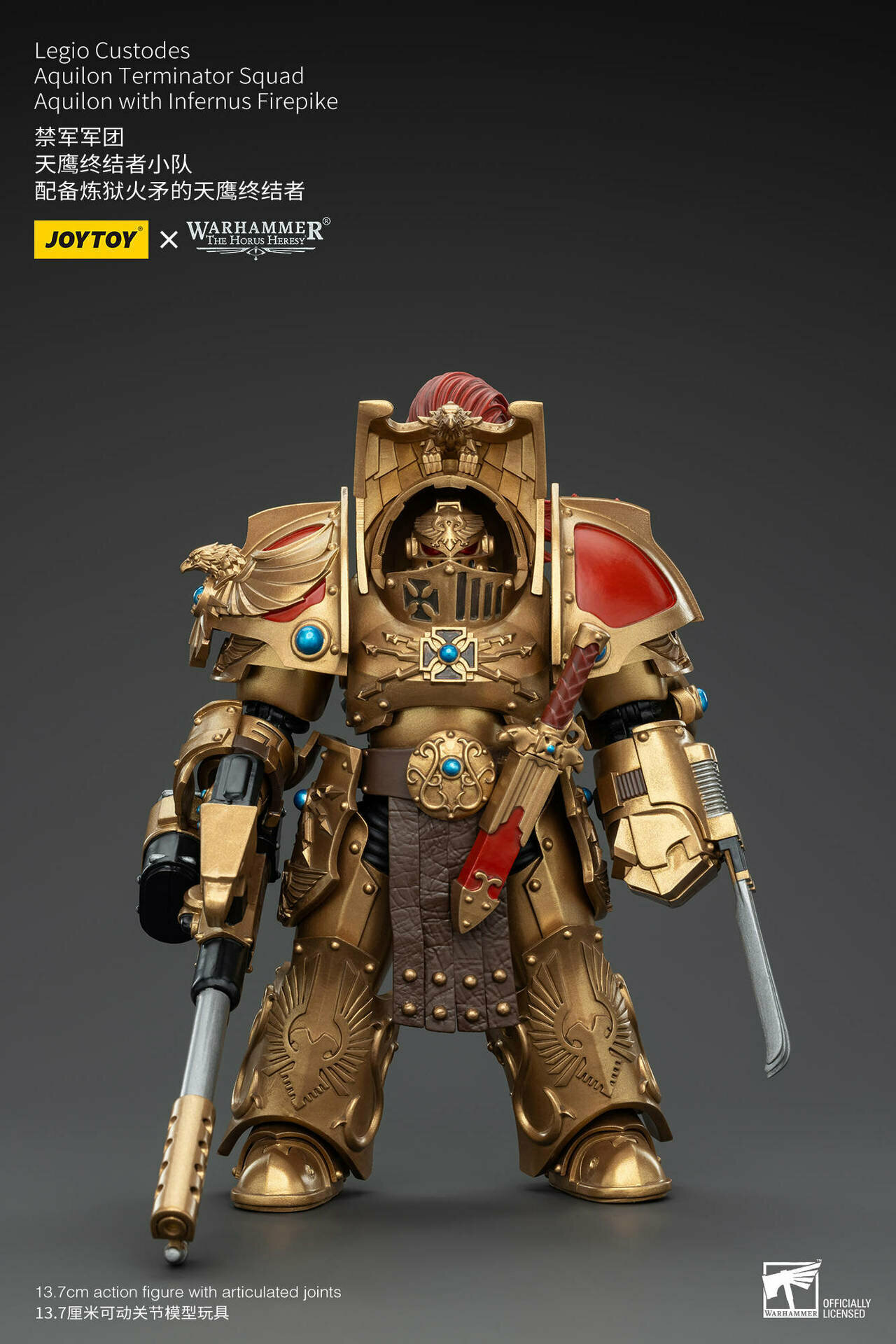 JOYTOY Dark Source Custodes Skyhawk Терминатор Warhammer Horus Heresy Vinatali Team Мобильный солдат фигурка