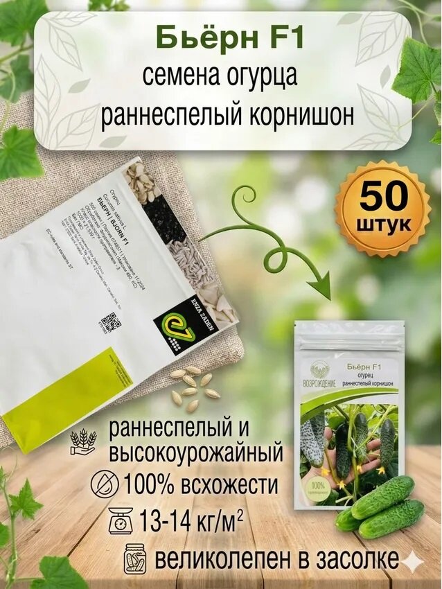 Огурец Бьёрн F1, раннеспелый, семена, 50 штук.