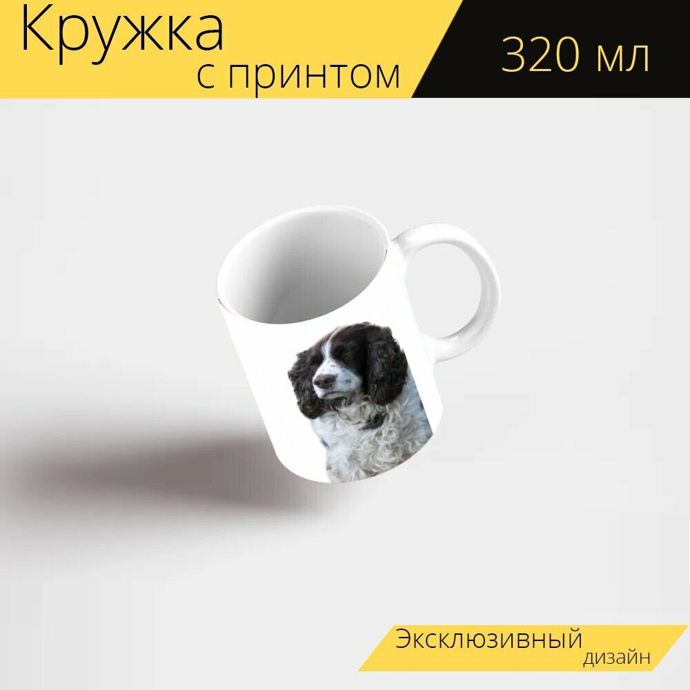Кружка с рисунком, принтом "Собака, английский спрингер спаниель, спрингер спаниель" 320 мл.