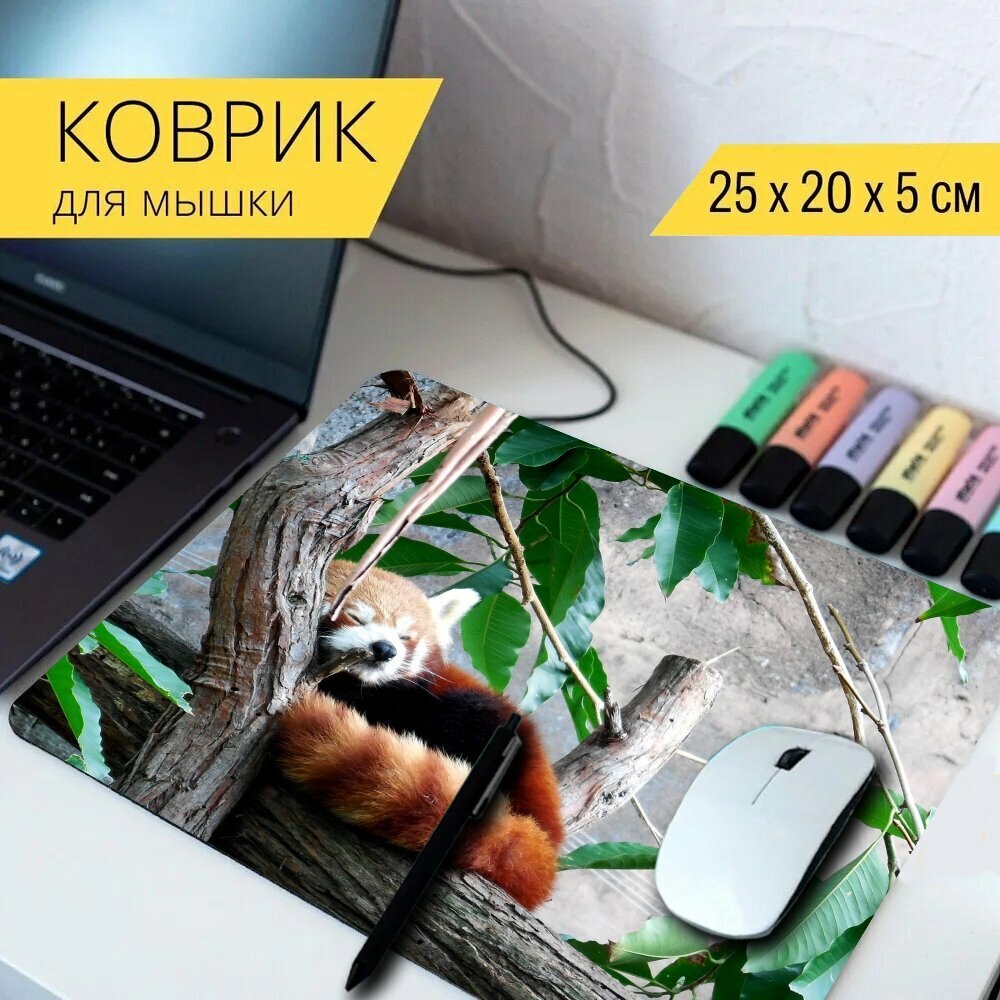 Коврик для мыши с принтом "Красная панда, милые красные панды, милый" 25x20см.