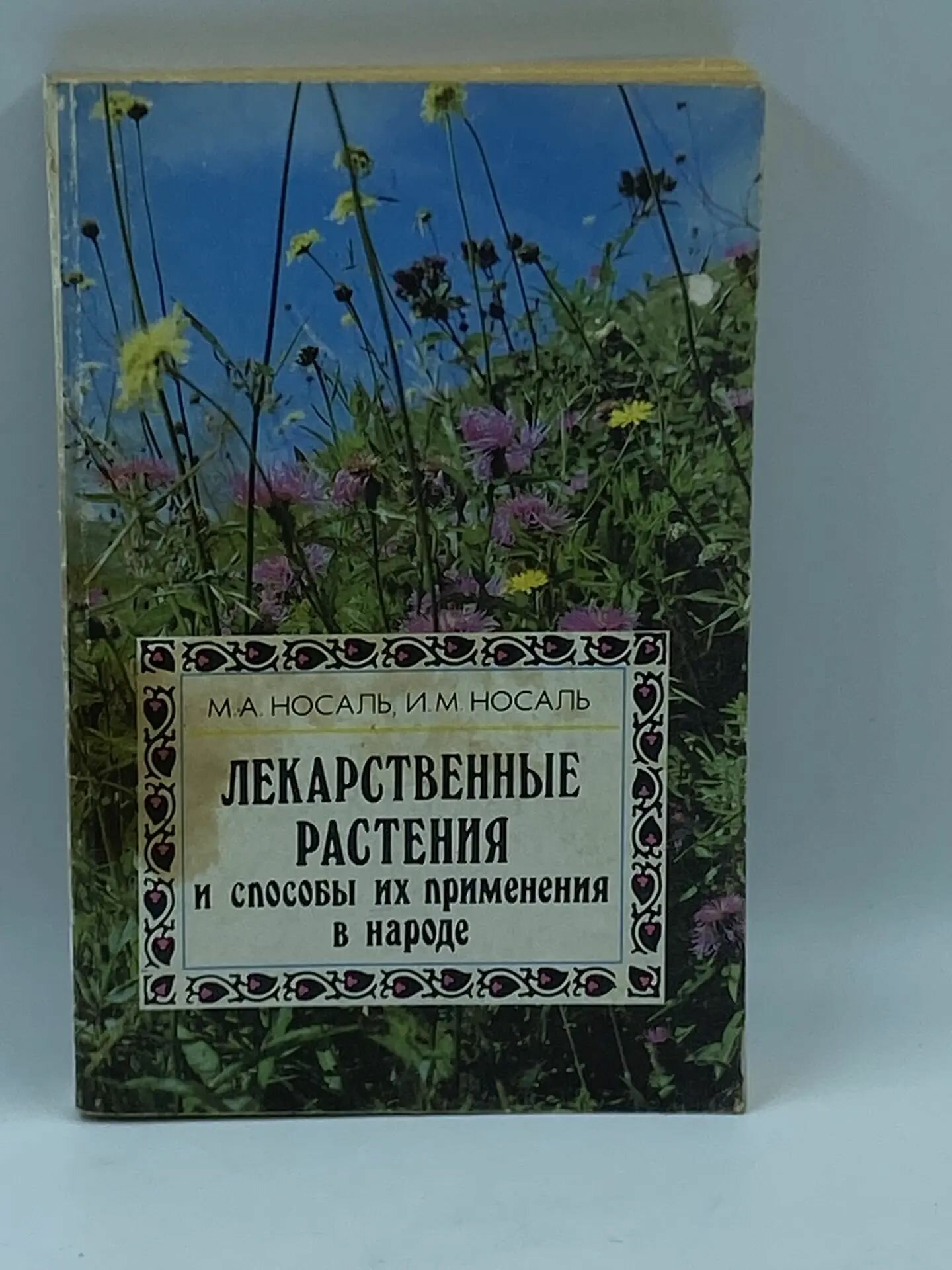 Лекарственные растения и способы их применения в народе