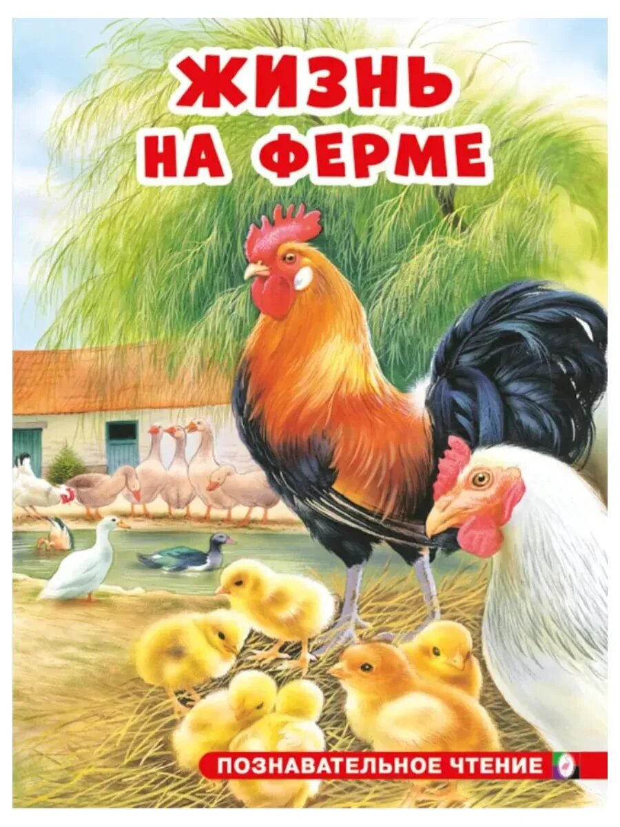 Жизнь на ферме. Гурина И. В.