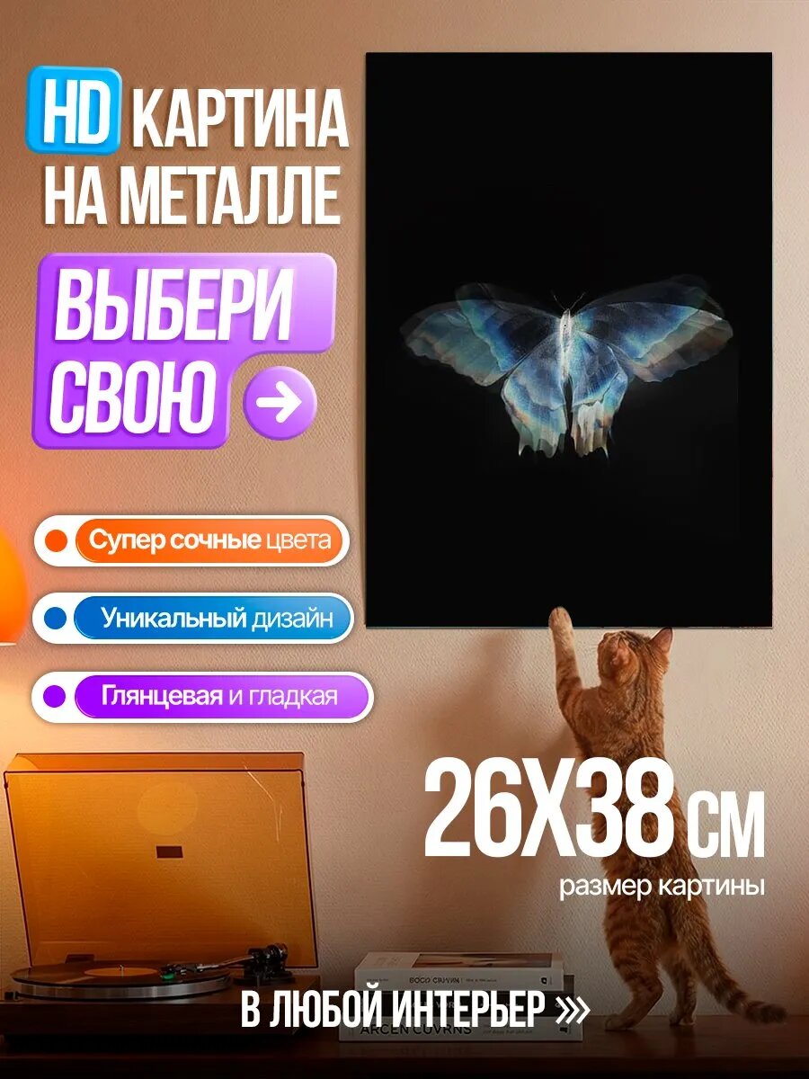 Картина на HD металле Синяя бабочка
