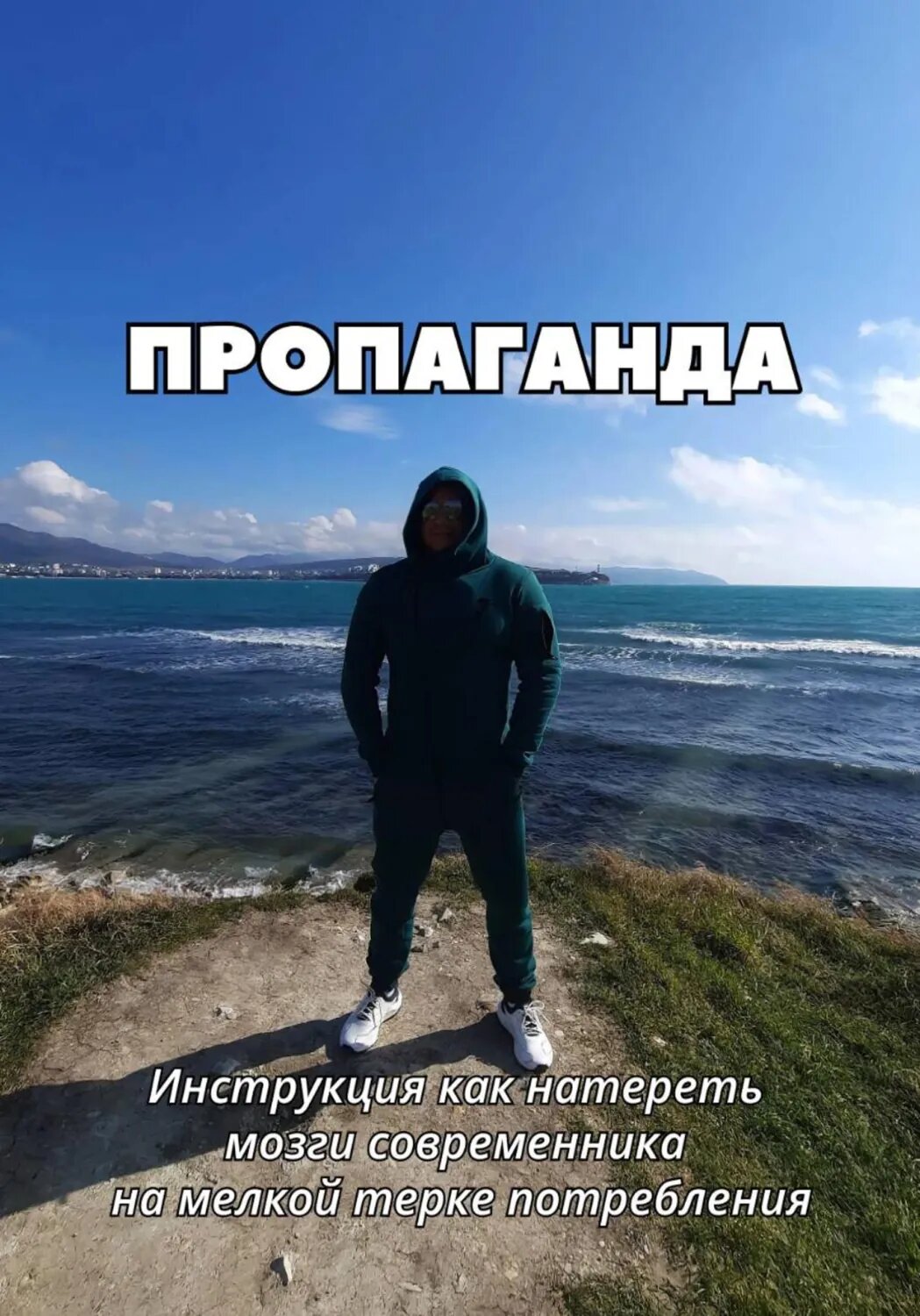 Пропаганда. Инструкция как натереть мозги современника на мелкой терке потребления [Цифровая книга]