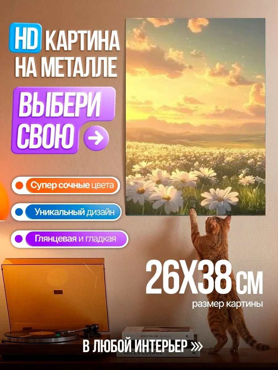 Картина на HD металле Поле ромашек на закате