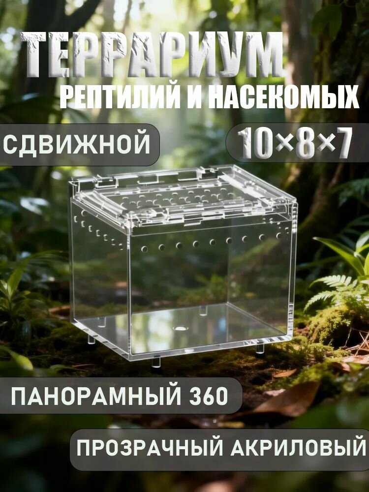 Прозрачный акриловый террариум готовый: для крабов, лягушек и рептилий, цельный без сборки, компактный