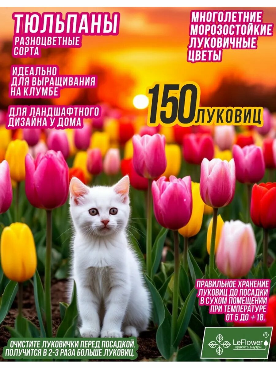 Тюльпан Луковицы неочищенные, Микс сортов, 150