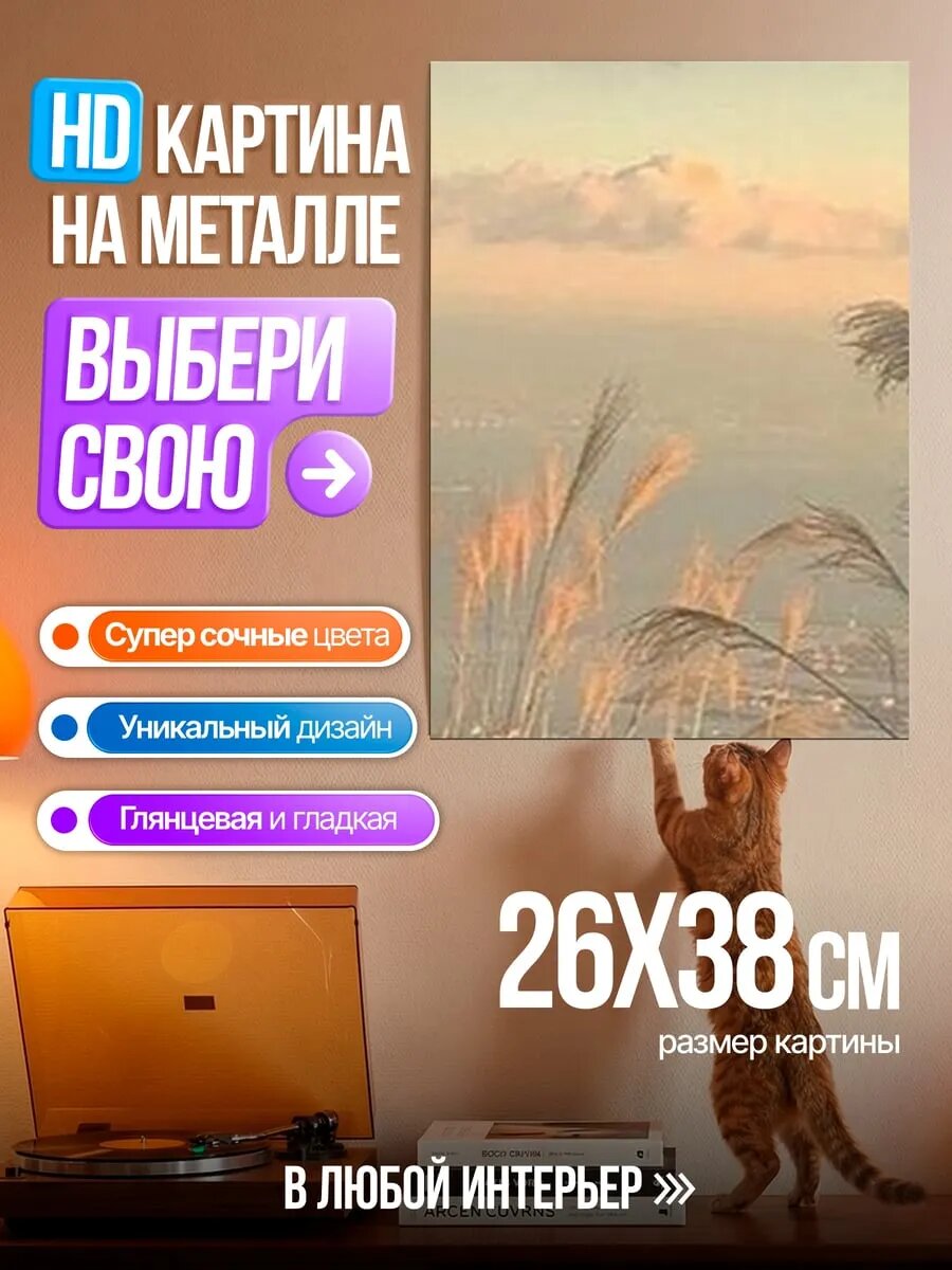 Картина на HD металле Закат над камышами