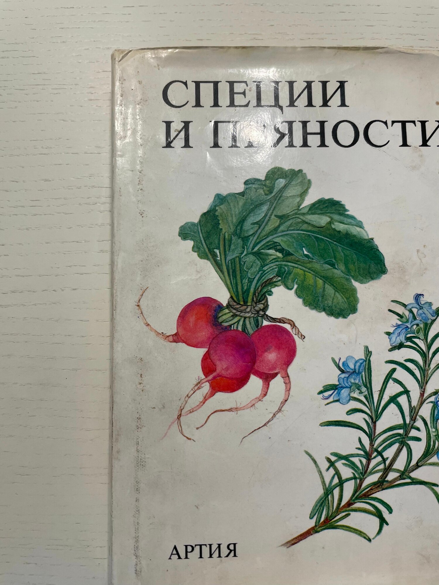 Специи и пряности — фото 1