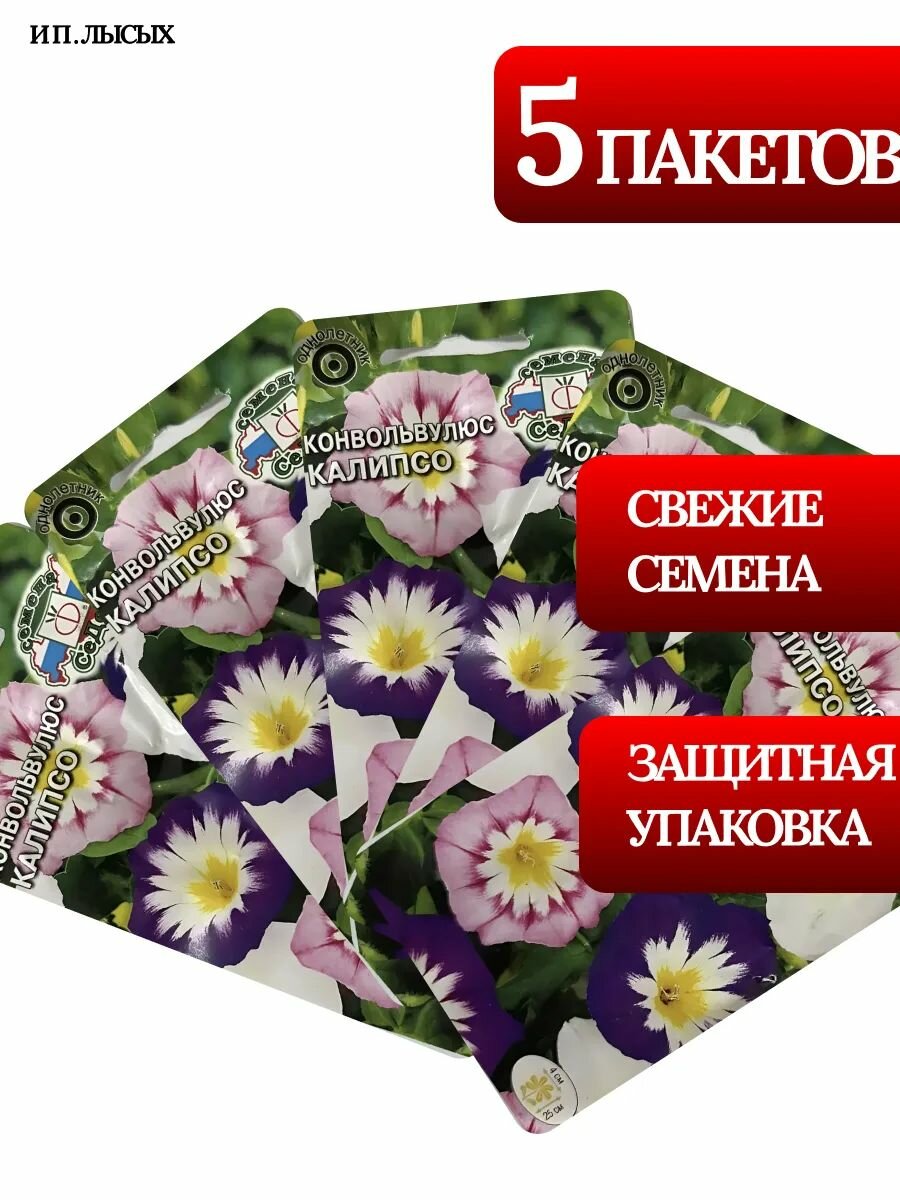 Семена Конвольвулюс "Калипсо"