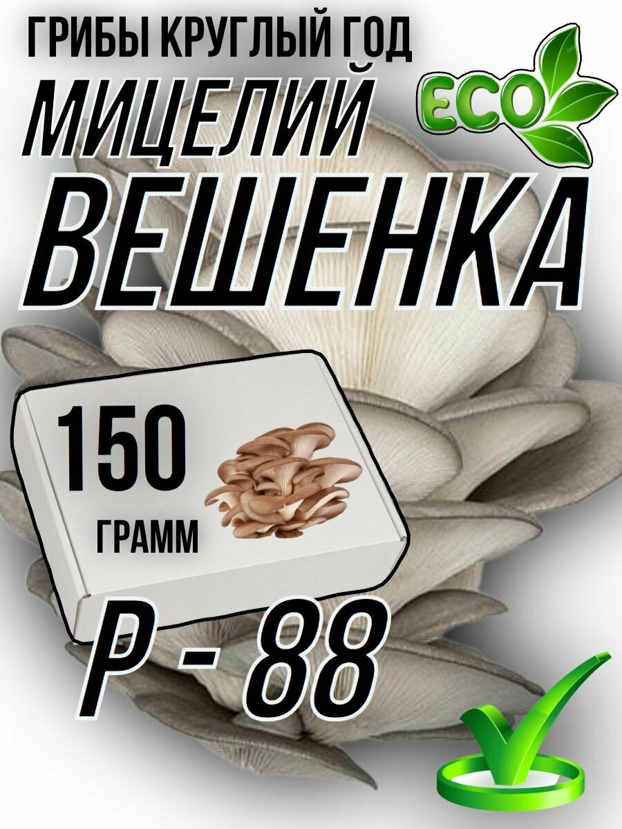 Семена Вешенки ( Лесная) Штамм Р 88 150 гр.