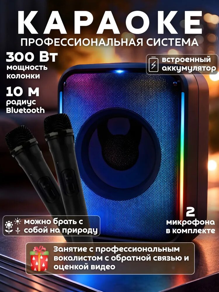 Караоке система с двумя микрофонами беспроводная