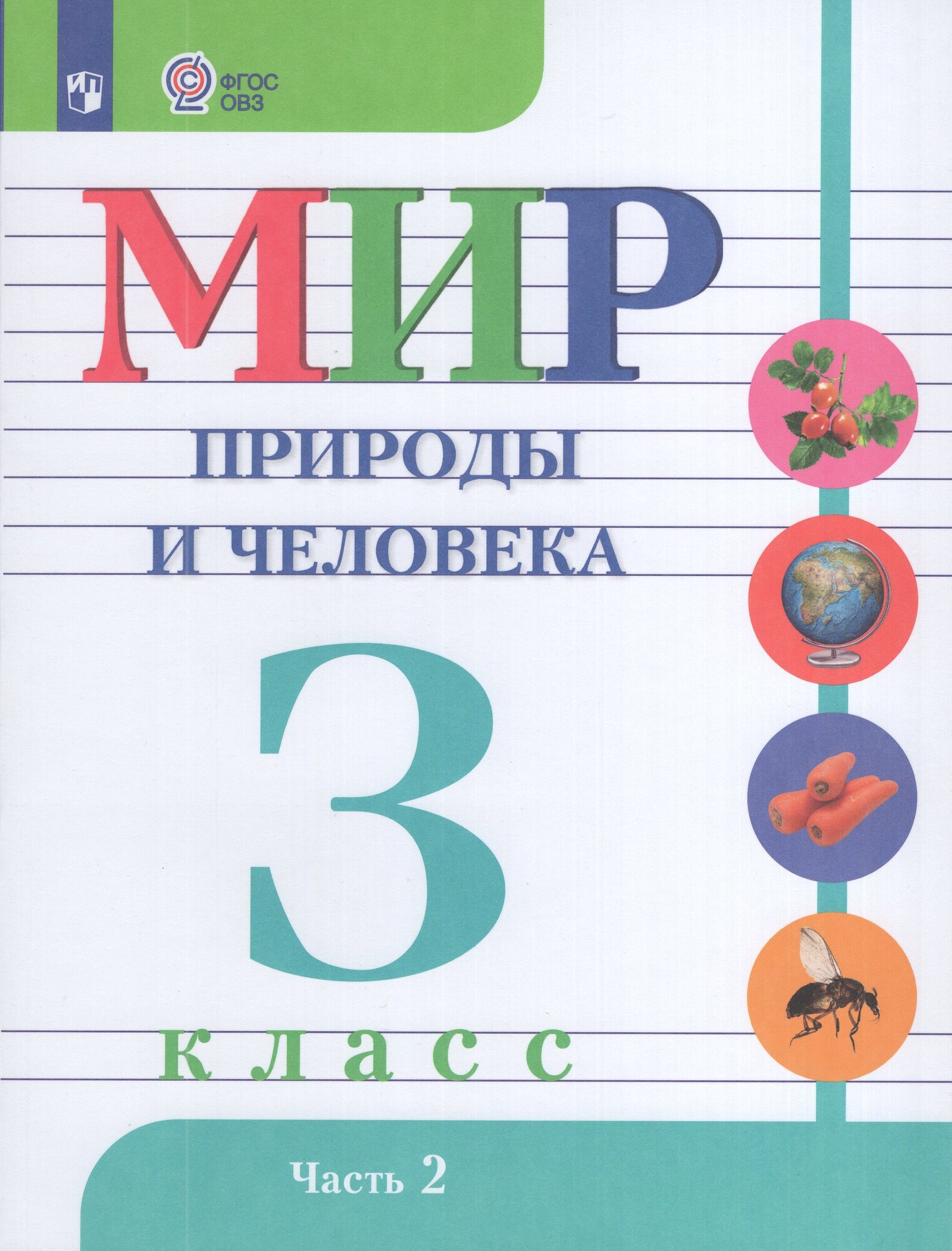 Мир природы и человека. 3 класс. Учебник для общеобразовательных организаций, реализующих адаптированные основные общеобразовательные программы. Часть 2, 2026, автор Матвеева Н. Б.
