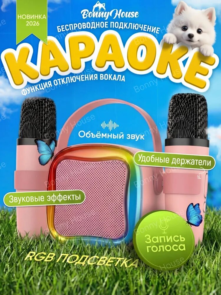 Детская караоке система с двумя беспроводными микрофонами и колонкой