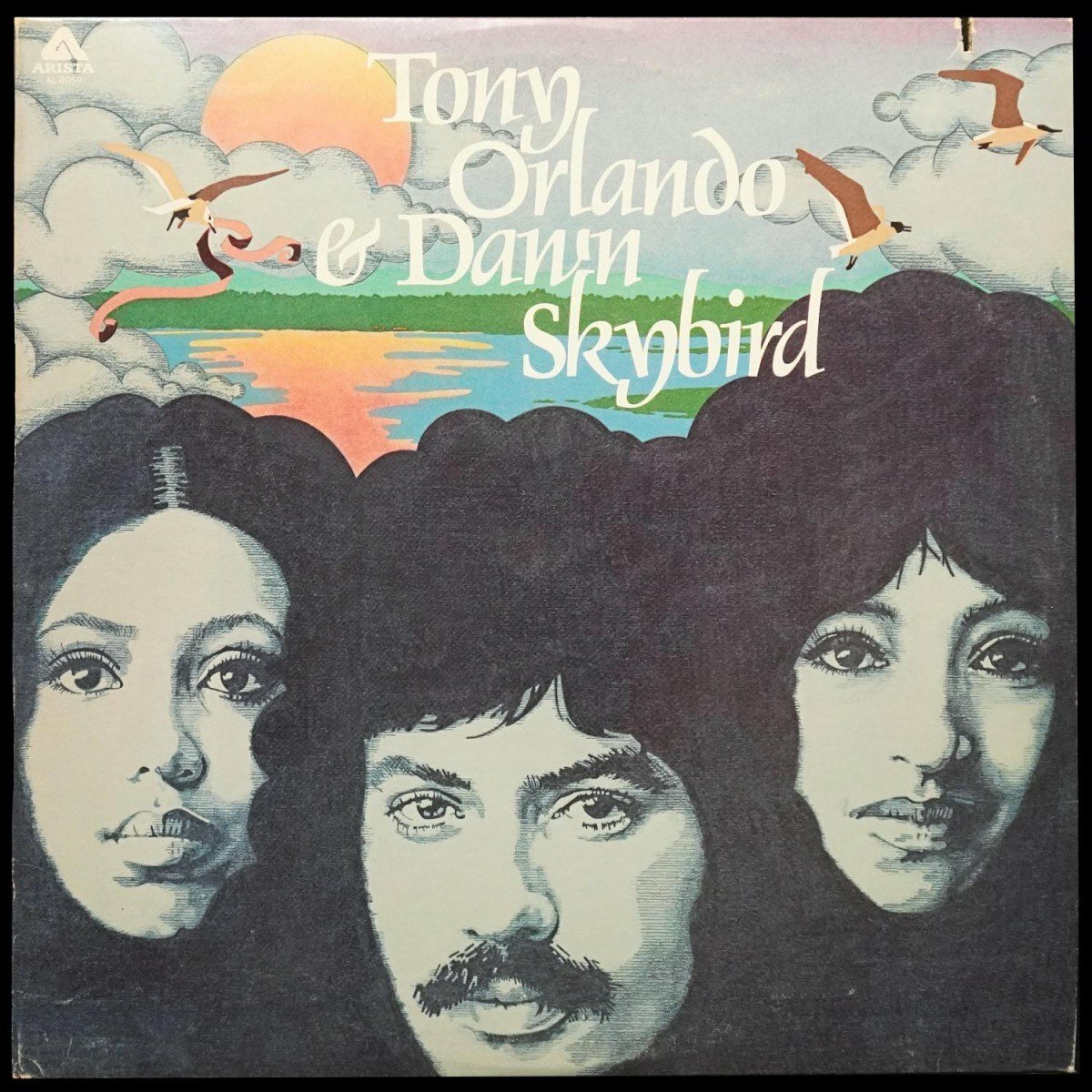 Виниловая пластинка Arista Tony Orlando And Dawn – Skybird