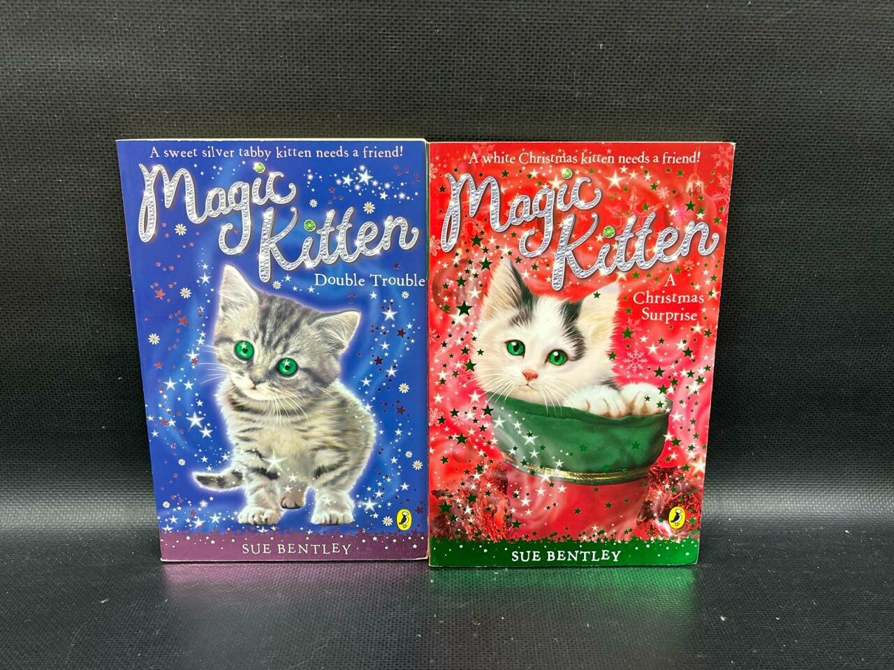 Maggic Kitten. Double trouble. A christmas surprise / Коты-маги: вновь проблема / рождественский сюрприз (Книги на английском языке)