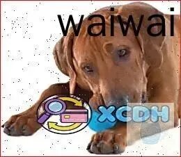 Игрушка для собак Petstages орка теннисный мяч 6см