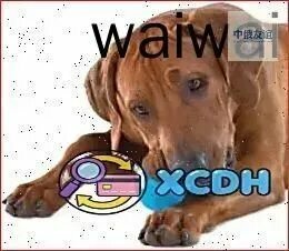 Игрушка для собак Petstages орка теннисный мяч 6см