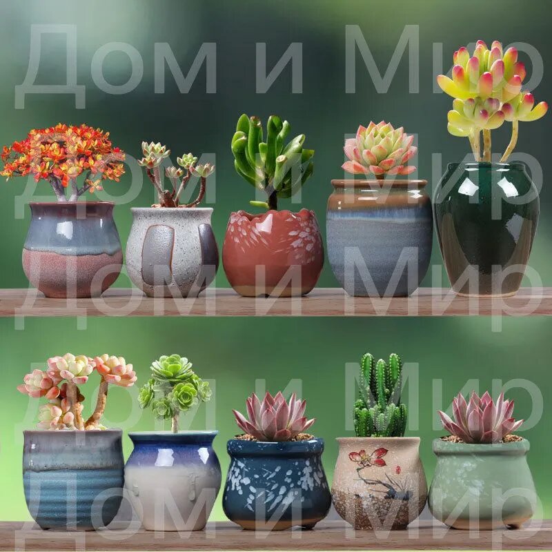 Горшок для цветов 6.5 см, 1 шт, цвет черный, черно-серый